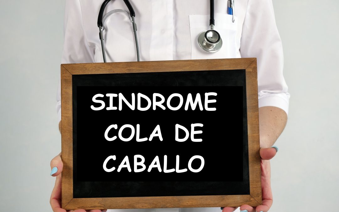 Síndrome de Bertolotti (mega-apófise transversa) - estudo de caso ...